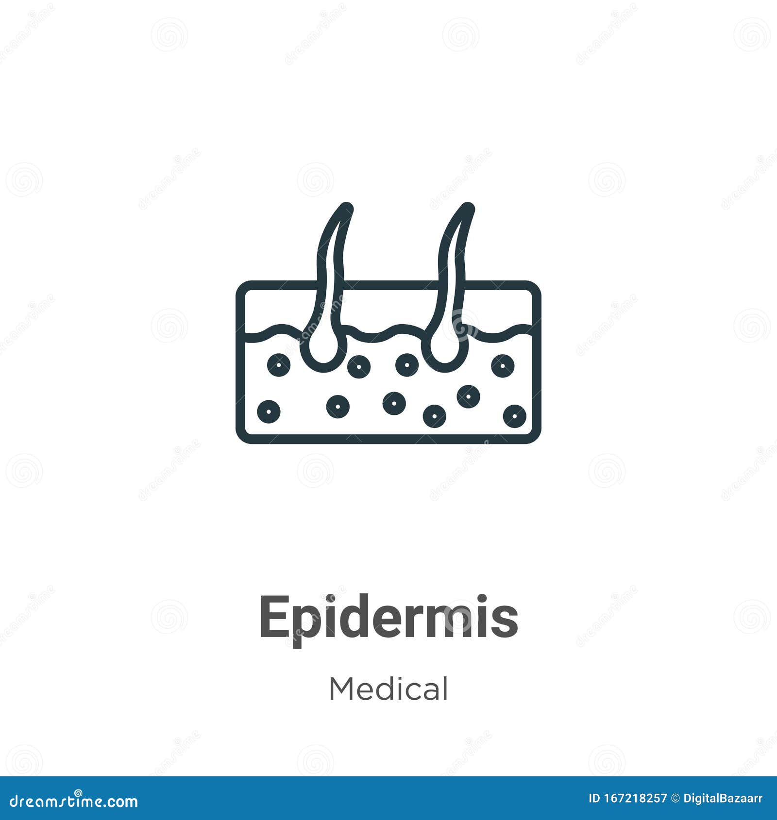 Epidermis Thin Line Icon. Body Hair Follicle And Dermatology. Health Care Vector Design Concept ...