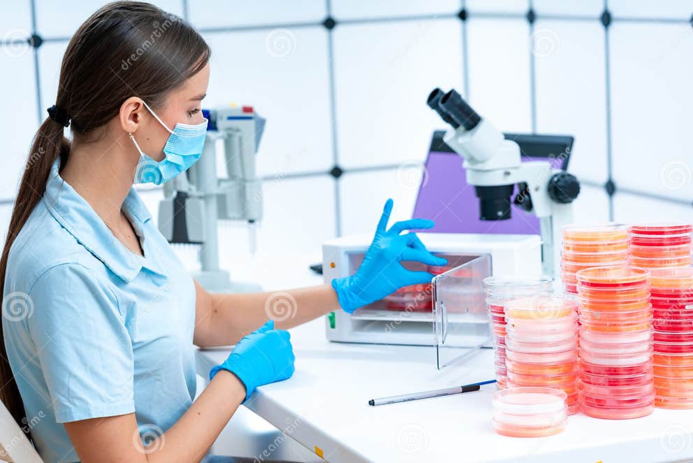 Epigenetics Research: Petri Dishes are Used in Epigenetics Research To ...