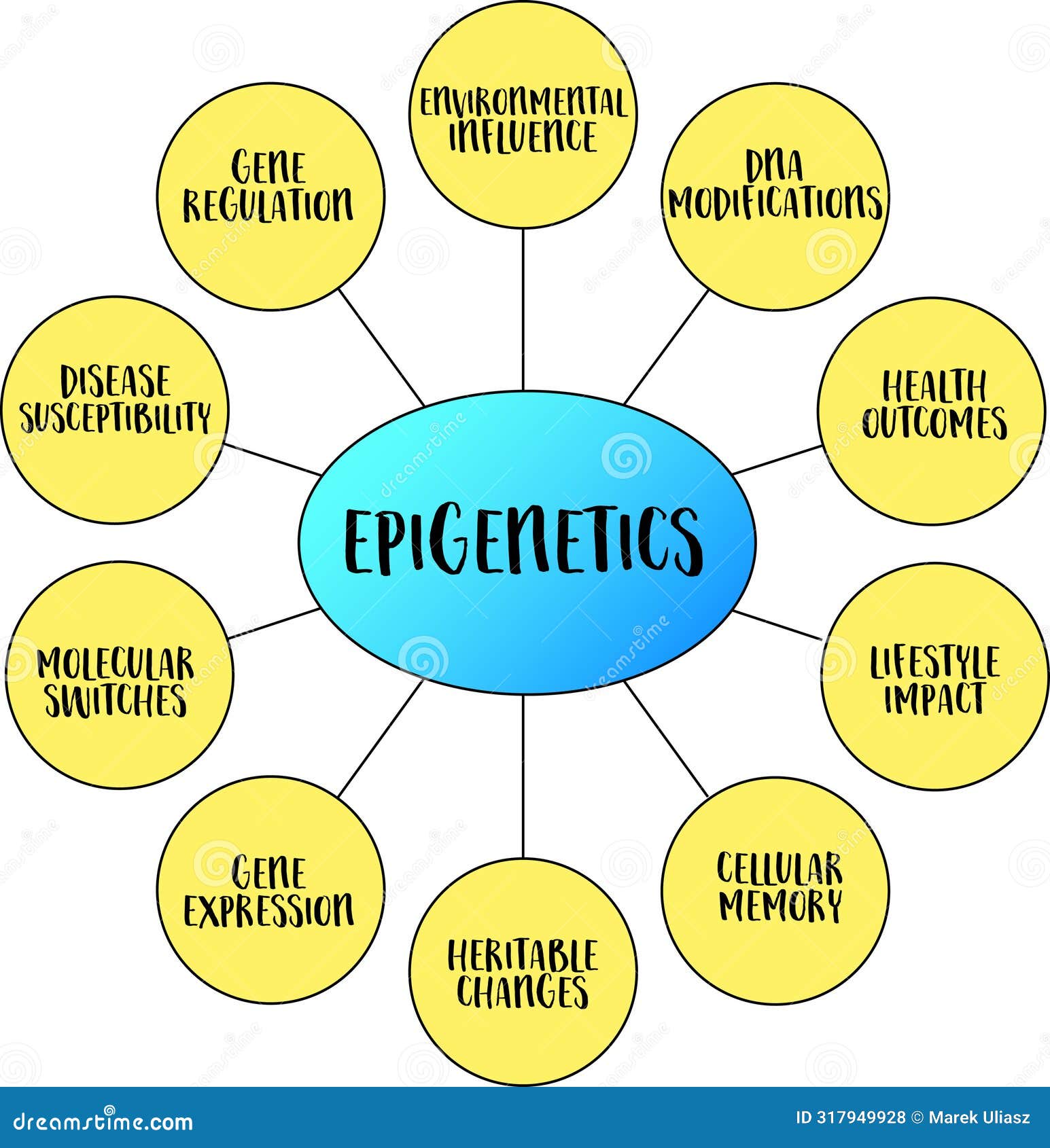 Epigenetics, Study of Heritable Changes in Gene Expression or Cellular ...