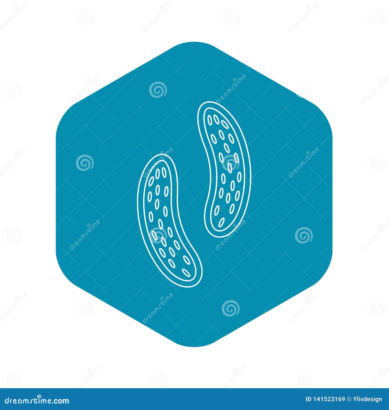 Epithelial Cell Icon, Outline Style Stock Vector - Illustration of ...