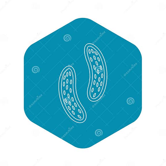 Epithelial Cell Icon, Outline Style Stock Vector - Illustration of ...