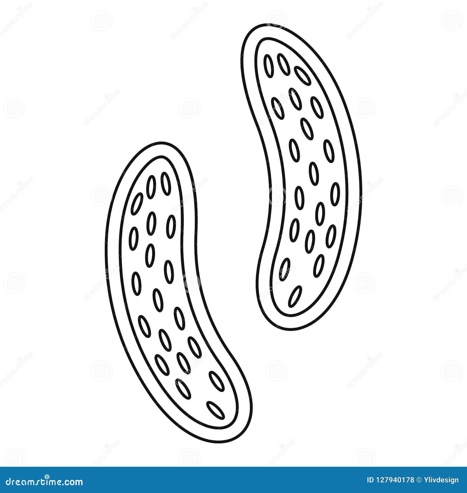Epithelial Cell Icon, Outline Style Stock Illustration - Illustration ...