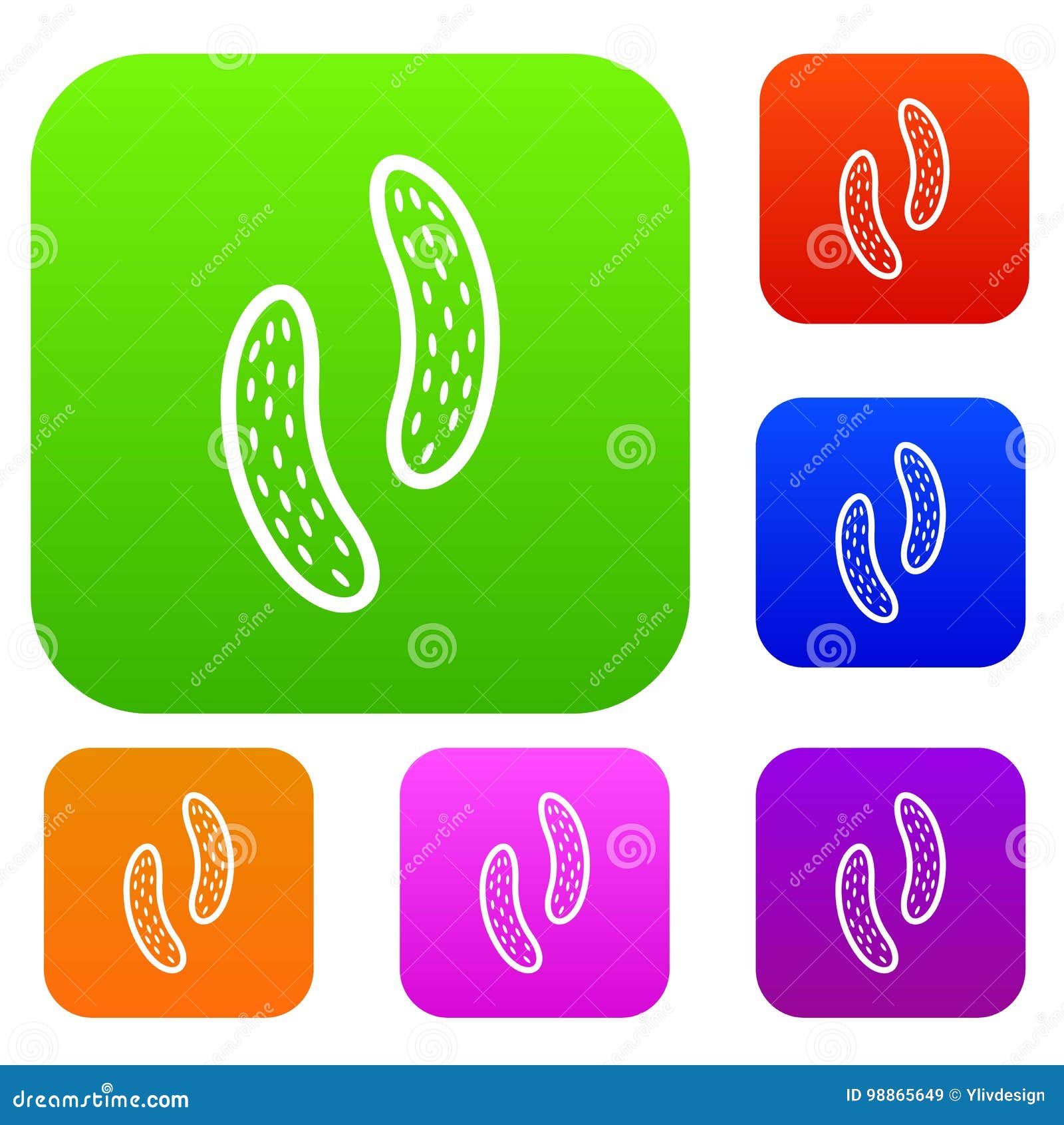 Epithelial Cell Set Collection Stock Vector - Illustration of anatomy ...