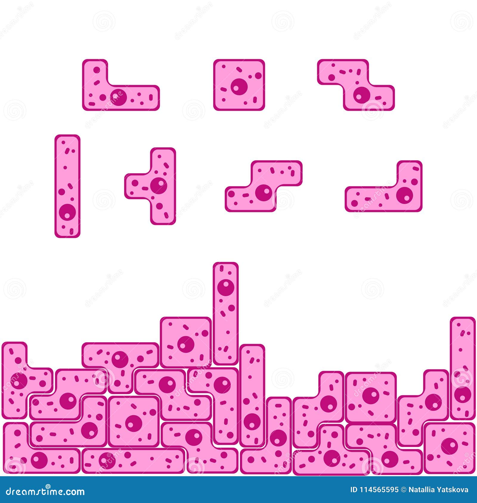 Epithelial Cells Form Tetris Layer Stock Vector - Illustration of cell ...