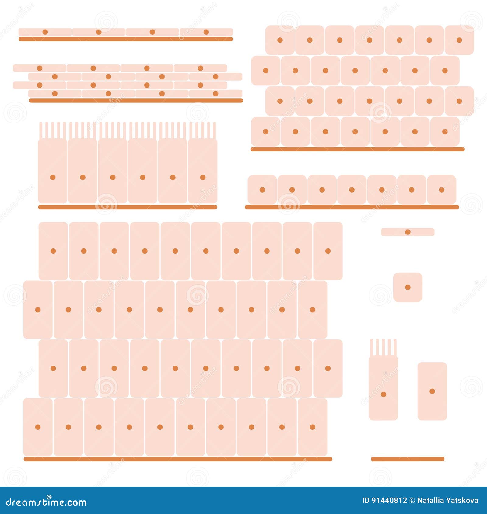 Epithelial tissue set stock vector. Illustration of immune - 91440812 Epithelial tissue set stock vector. Illustration of immune - 91440812