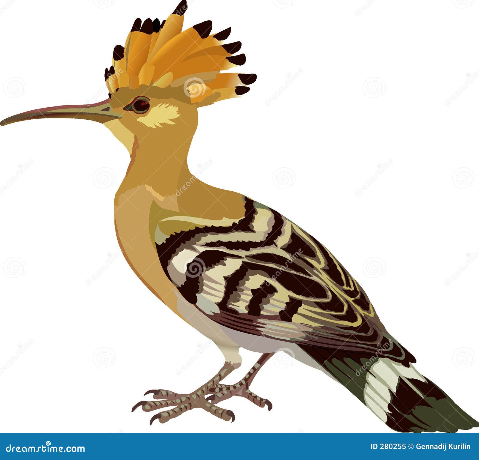 Epos del Upupa ilustración del vector. Ilustración de madera - 280255