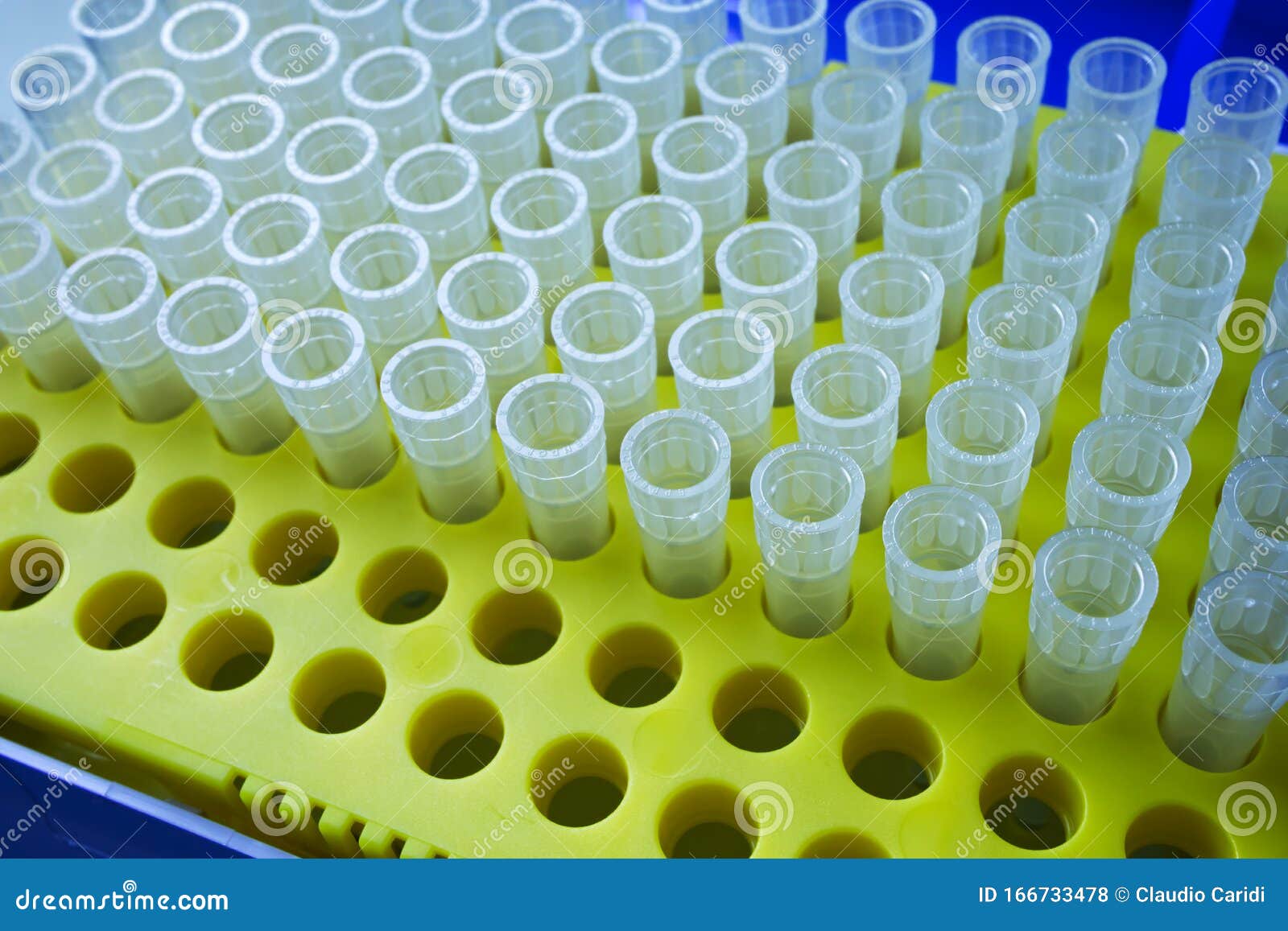 Eppendorf Tube in Yellow Plastic Rack for Micropipette: 0.1 Ml Stock ...
