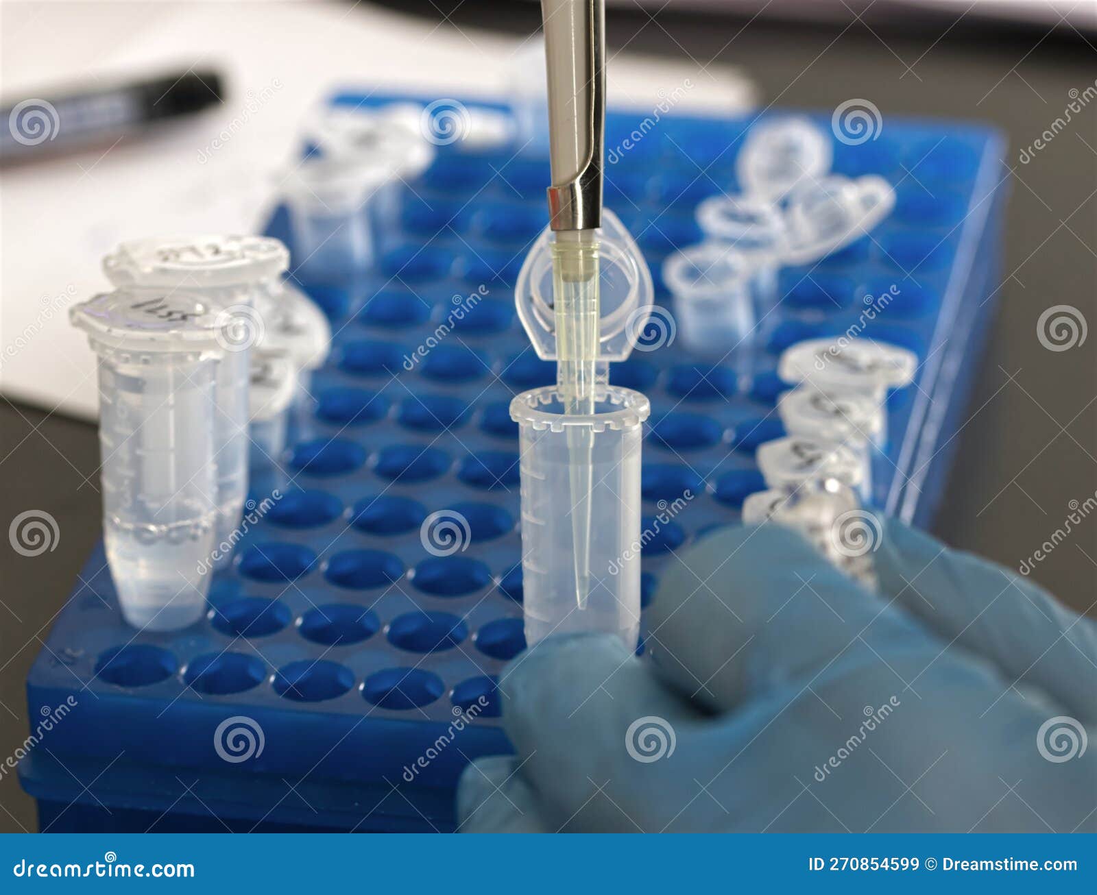 Eppendorf Tubes on the Rack and Pipette. Close Up in Blue Tone Stock ...