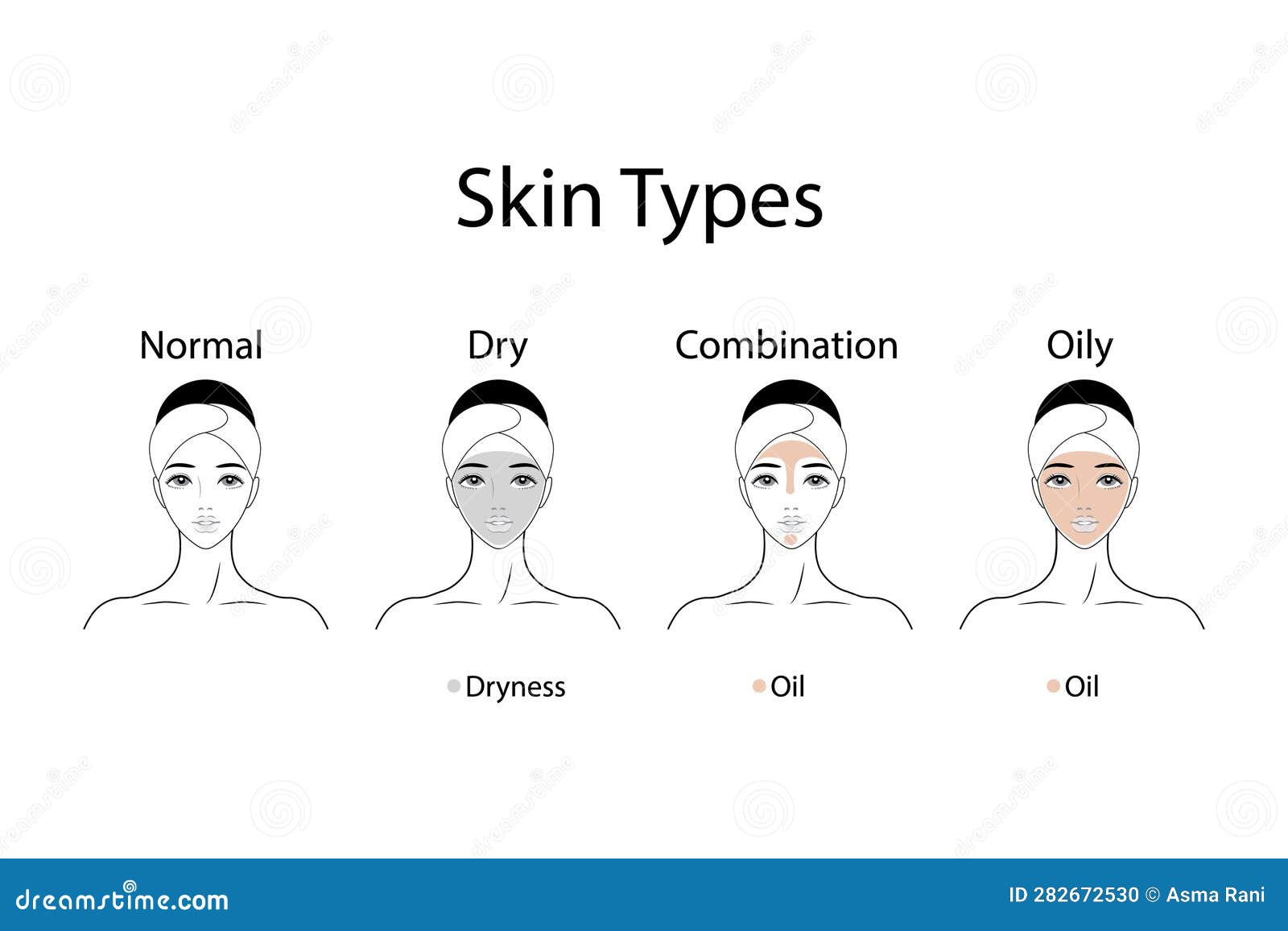 Four Main Skin Types, Normal, Dry, Combination and Oily. Female Vector ...