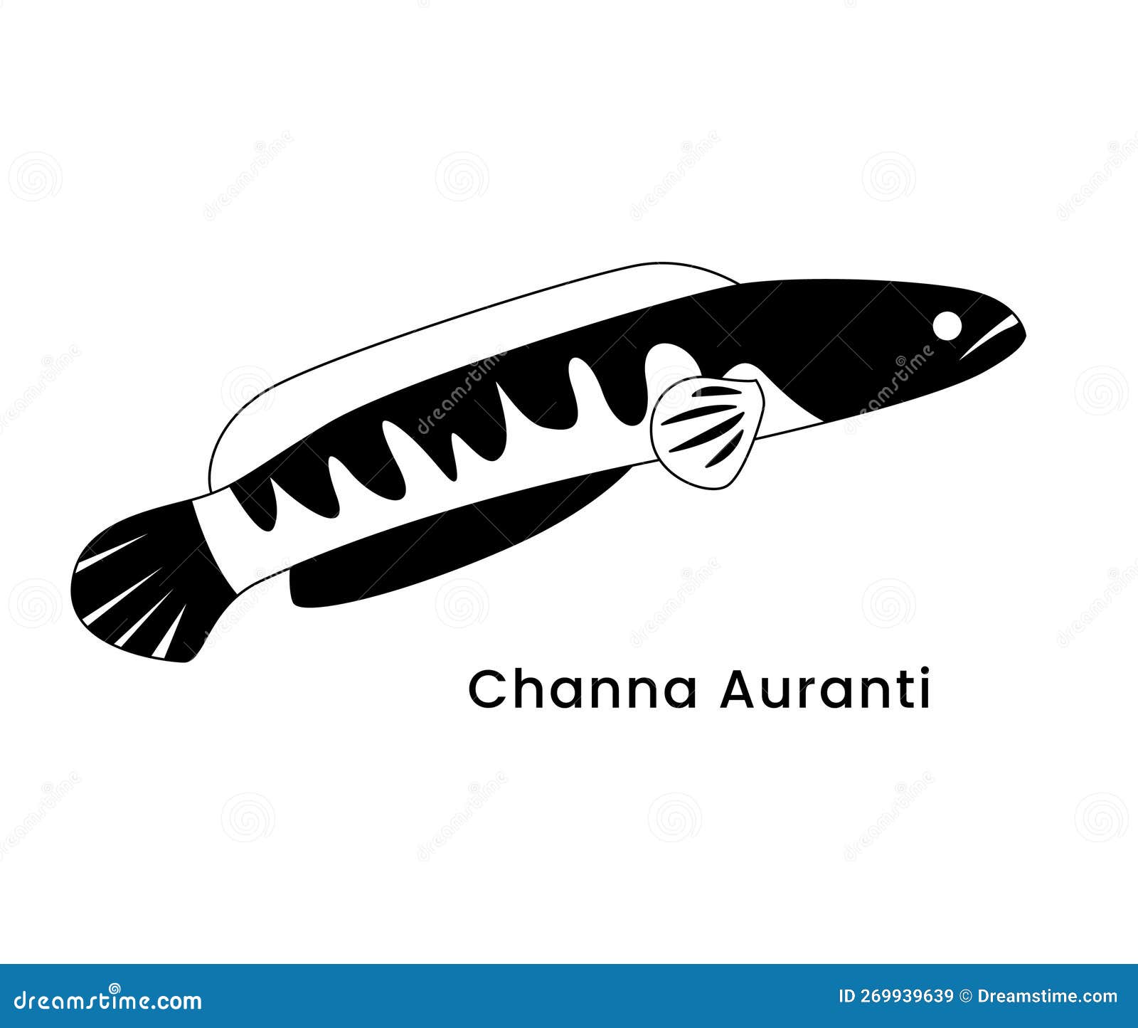 Channa Auranti Fish Silhouette Cartoon Vector | CartoonDealer.com ...