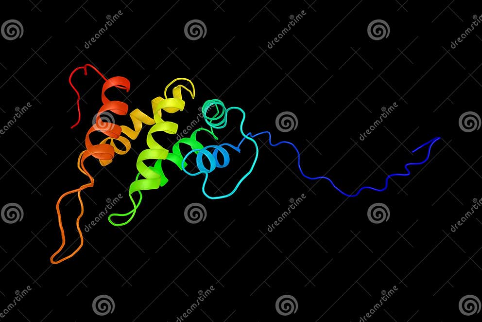 Epsin-1, an Endocytic Accessory Protein that Interacts with EPS15, the ...