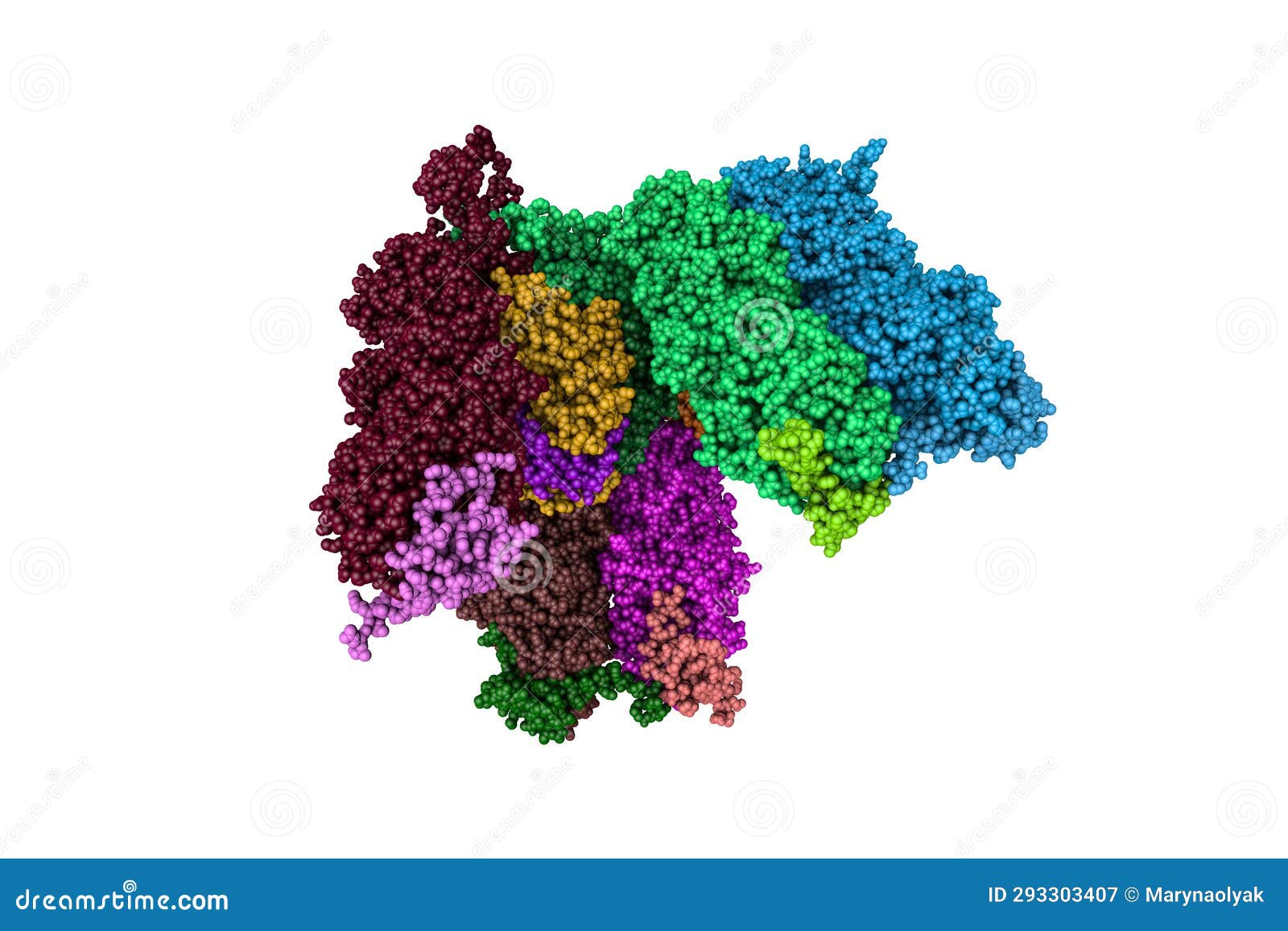 Epstein-Barr Virus, C5 Penton Vertex, CATC Absent. Space-filling ...