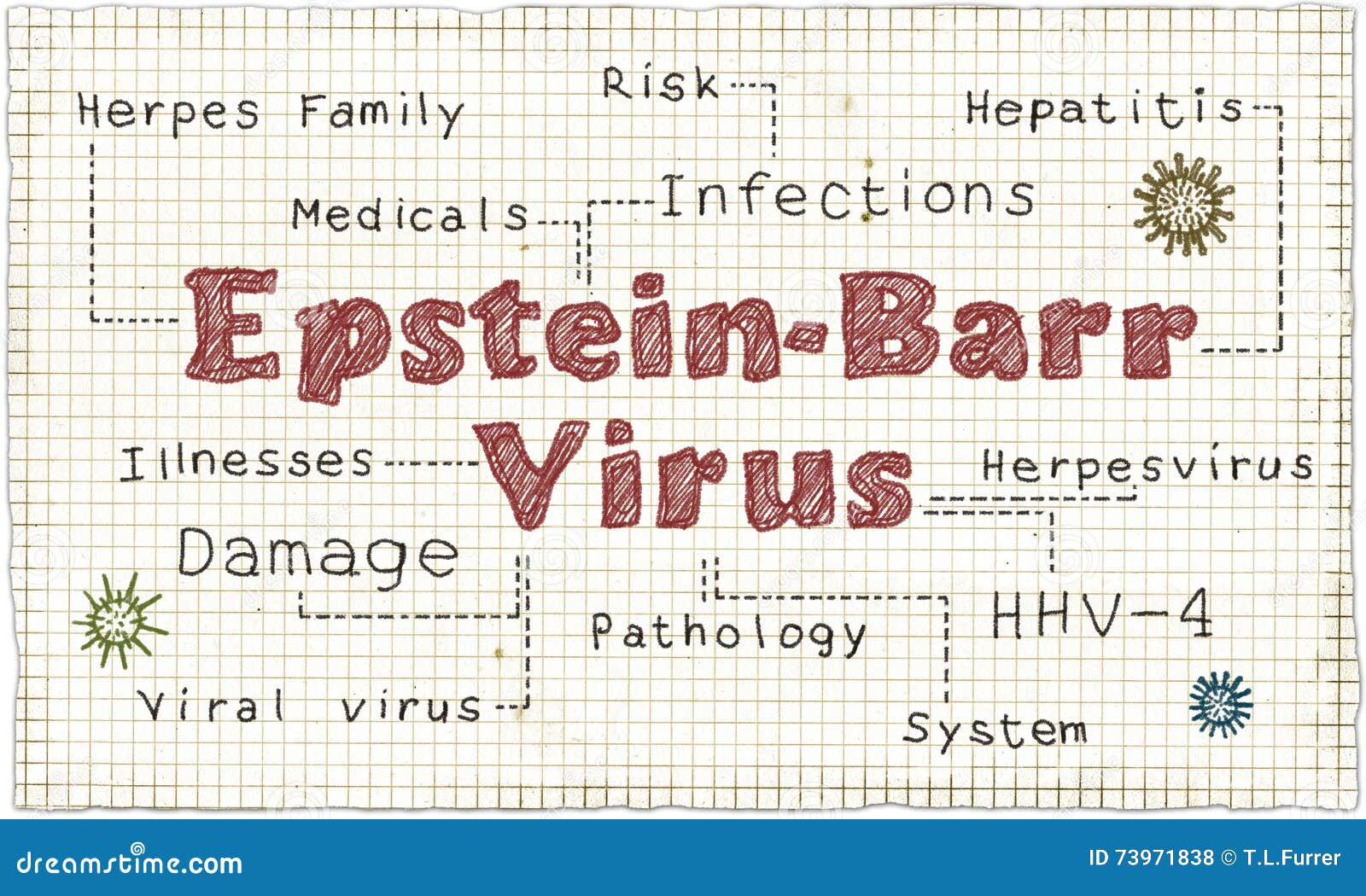 Epstein Barr Virus Vector Illustration. Labeled Herpes Disease ...