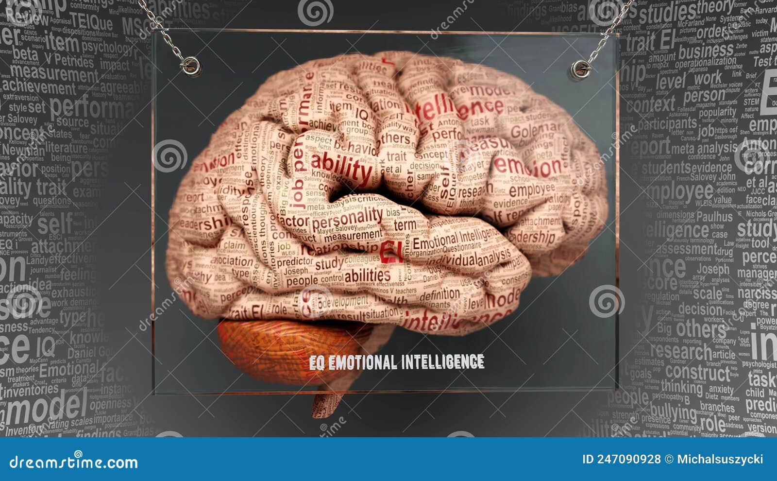 Emotional Intelligence Brain Structure