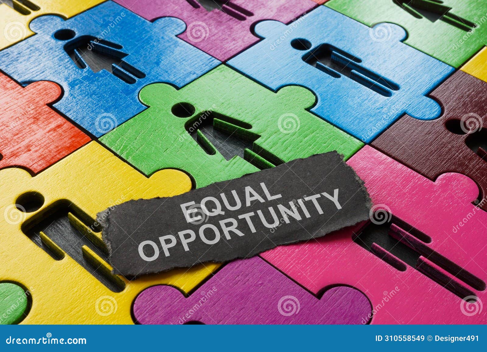 Equal Opportunity Concept. a Puzzle of Colored Figures and a Paper ...