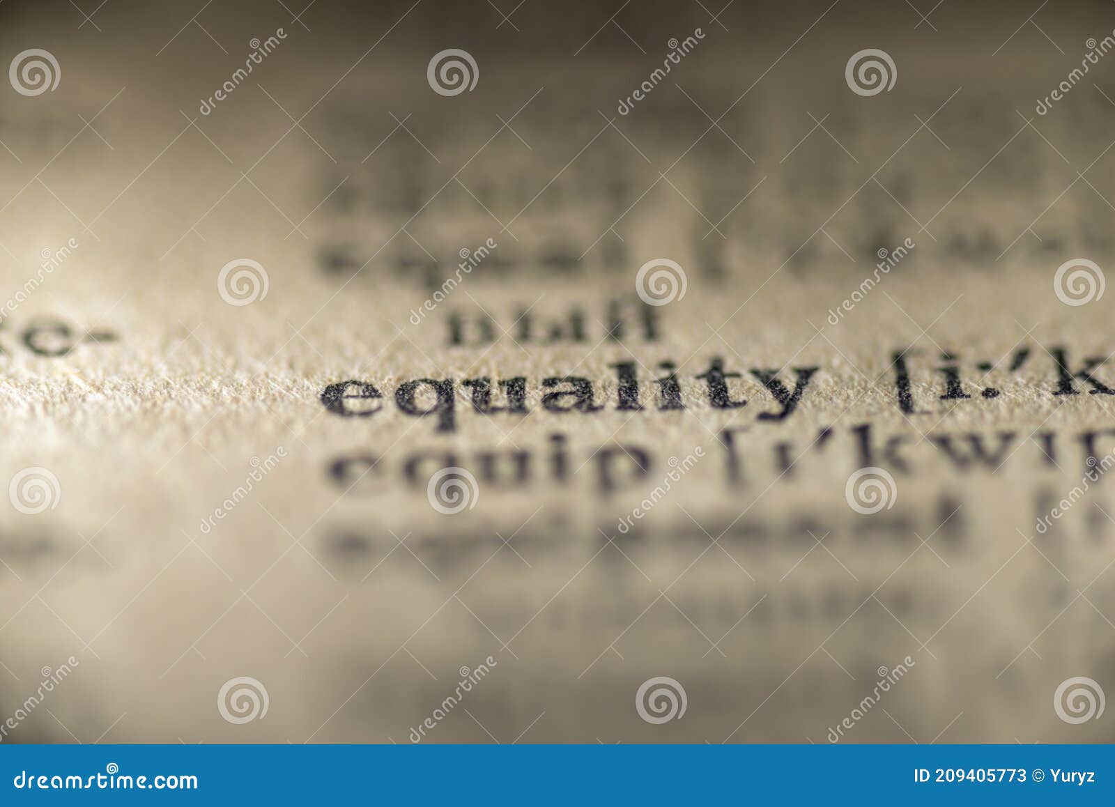EQUALITY Word Carved Out Of Plywood. Symbol Of Gender Equality. White ...