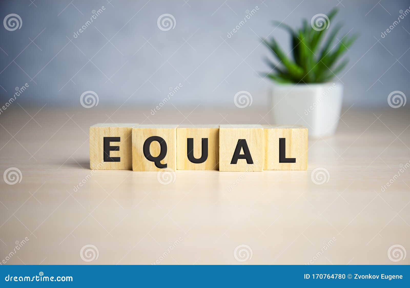 EQUALITY Word Carved Out Of Plywood. Symbol Of Gender Equality. White ...