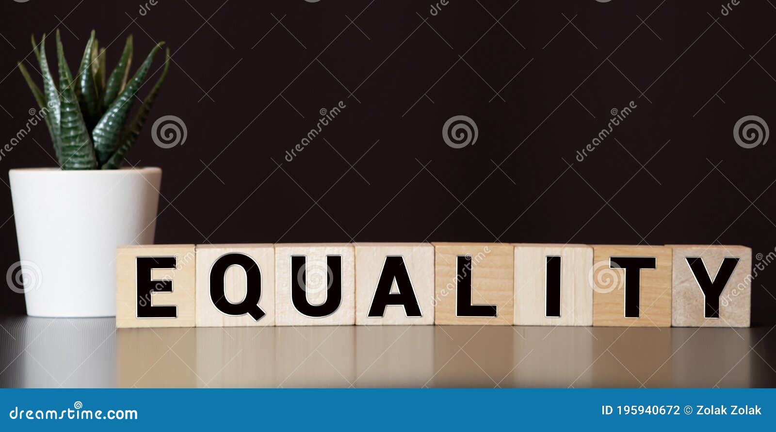 EQUALITY Word Made with Building Blocks Stock Photo - Image of wooden ...