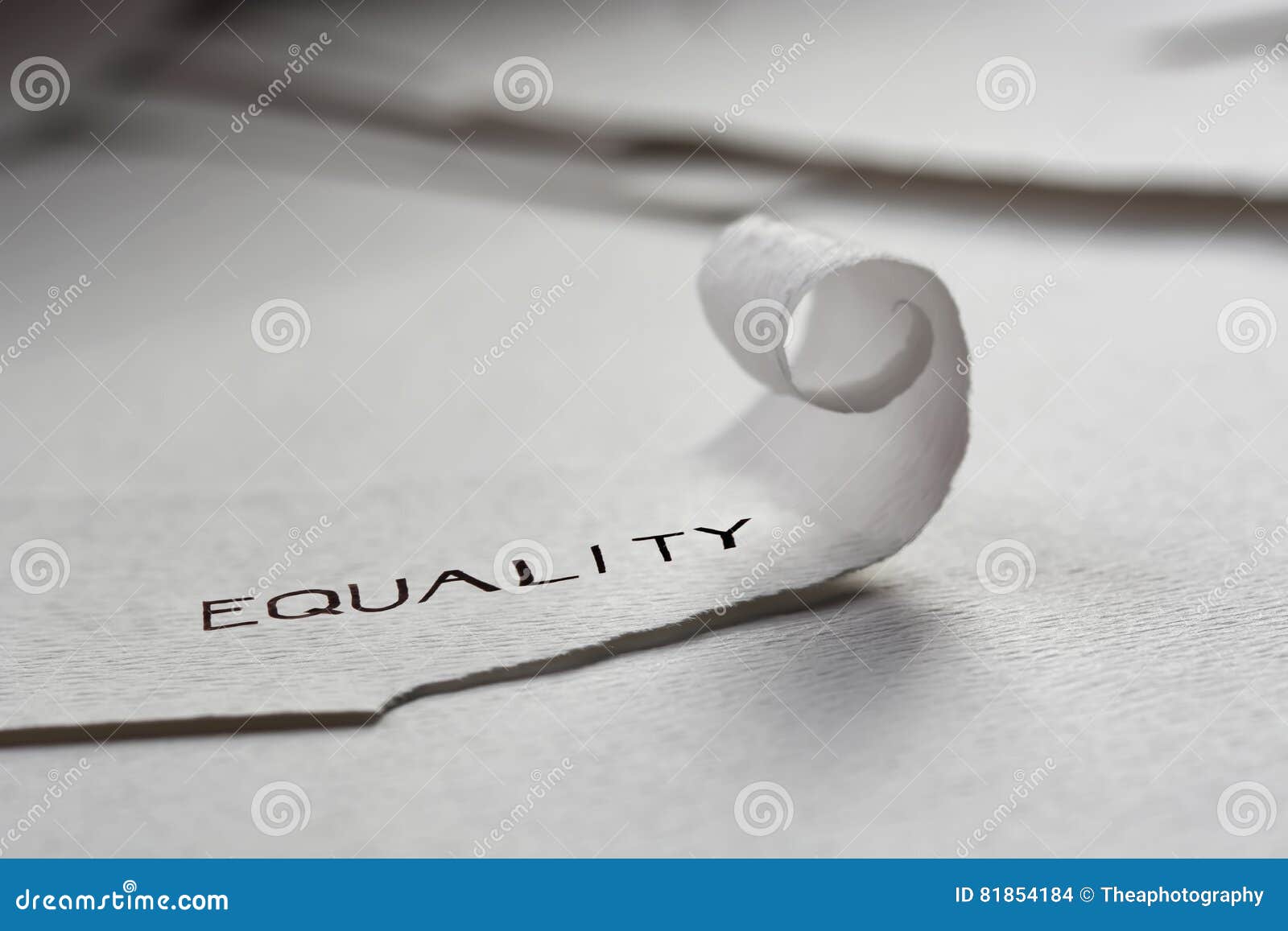 Equality stock photo. Image of reference, knowledge, dictionary - 81854184