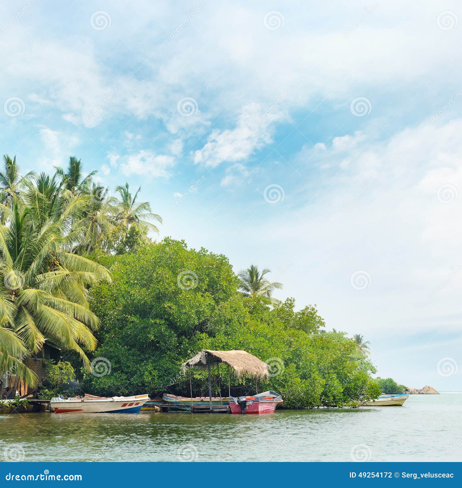 Equatorial Forest and Boats Stock Photo - Image of jungle, green: 49254172
