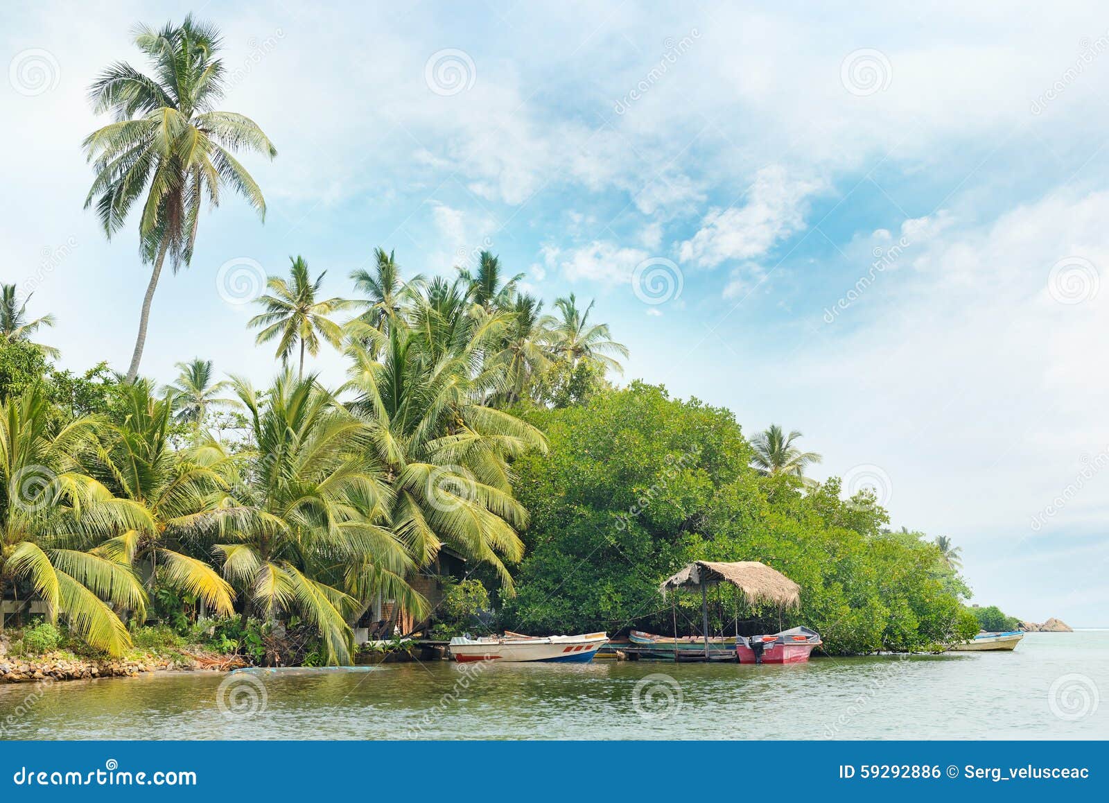 Equatorial Forest and Boats Stock Photo - Image of forest, bapor: 59292886