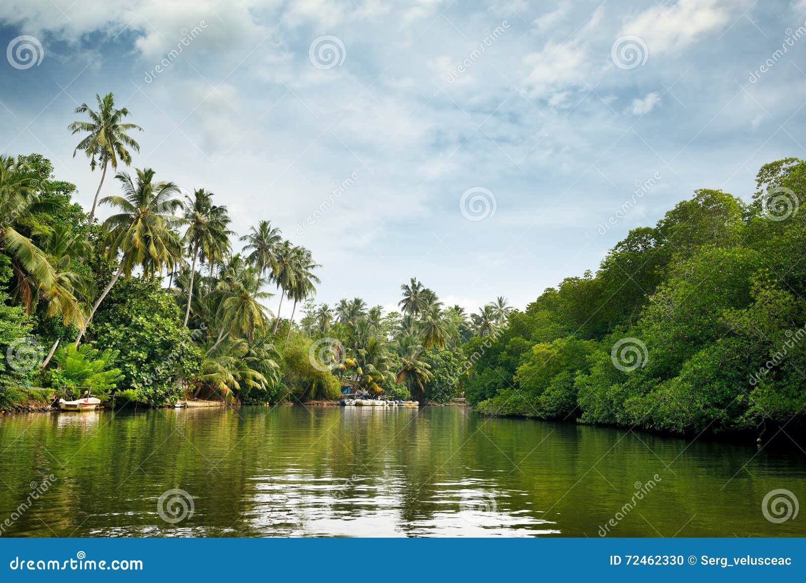 Equatorial Forest and Boats on Lake Stock Photo - Image of coconut ...