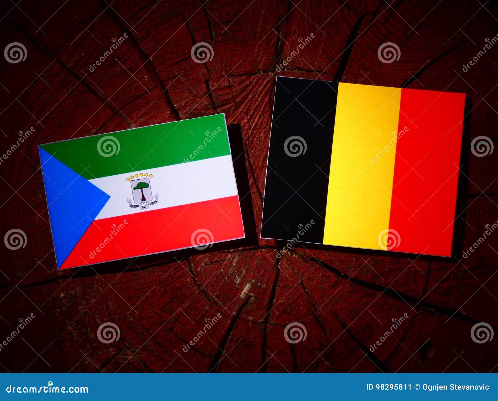 Equatorial Guinea Flag with Belgian Flag on a Tree Stump Isolate Stock ...