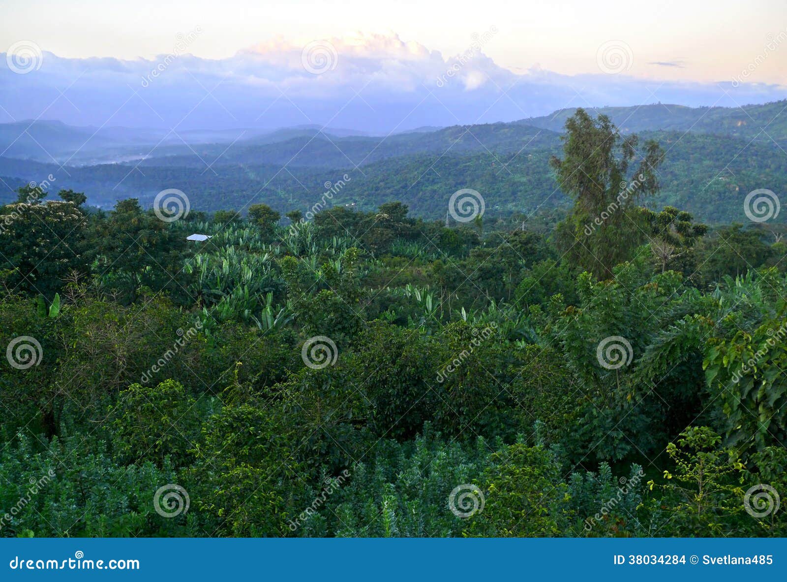 Equatorial Jungle. Mountains Covered with Dense Jungle Stock Photo ...