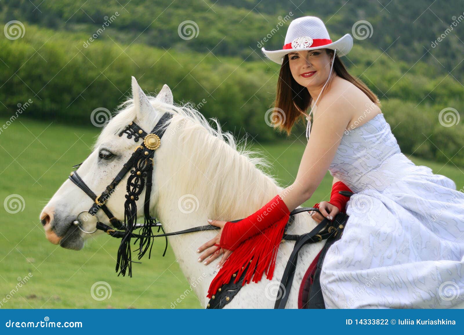 Equestrian stock photo. Image of equestrian, girl, beautiful - 14333822