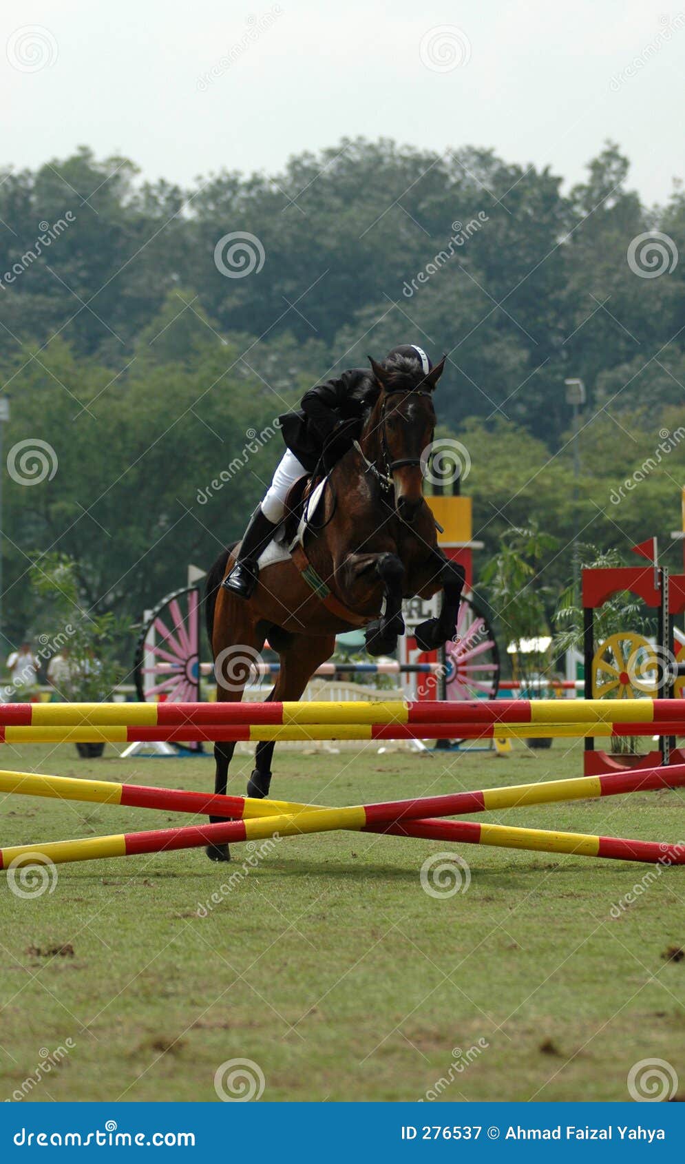 Equestrian stock image. Image of rider, sports, outdoor - 276537