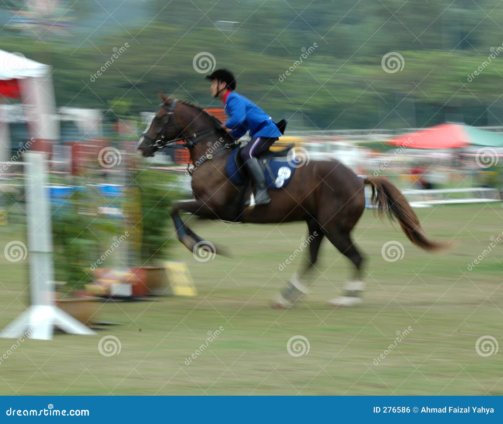 Equestrian stock photo. Image of fast, riding, jump, champion - 276586
