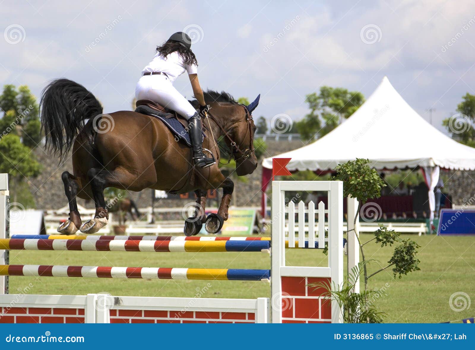 Equestrian stock image. Image of active, compete, race - 3136865