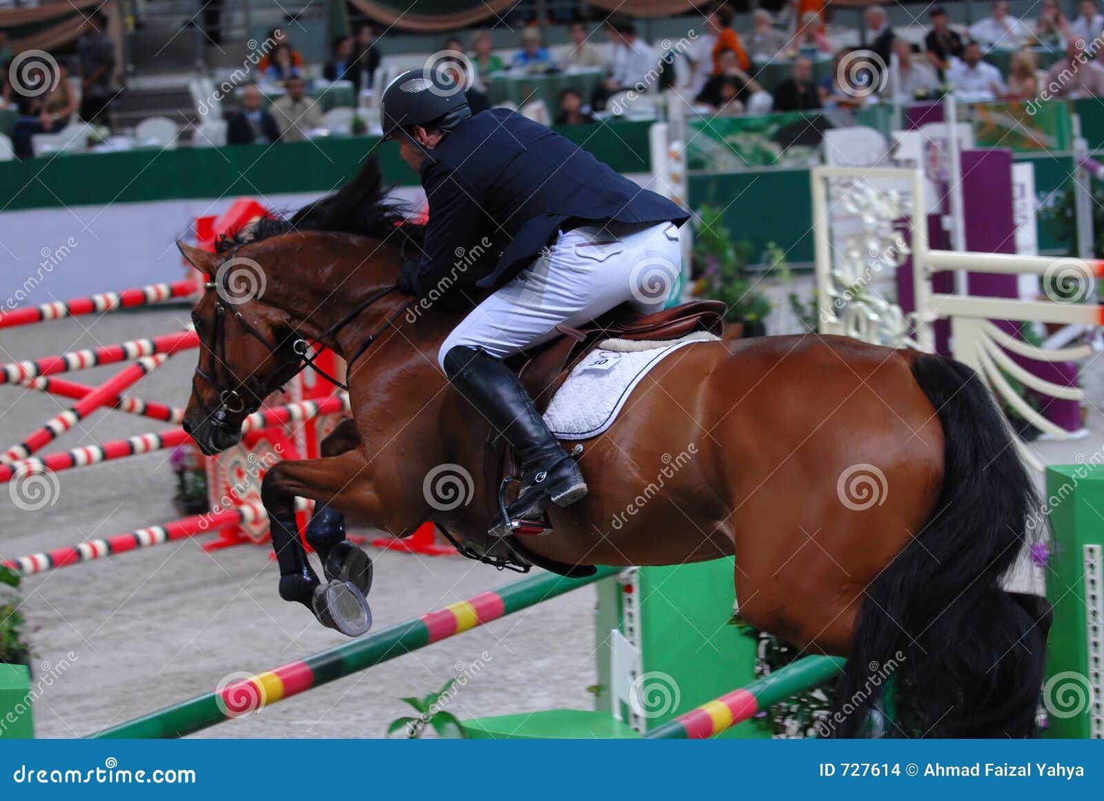 Equestrian stock photo. Image of concour, rider, horse - 727614