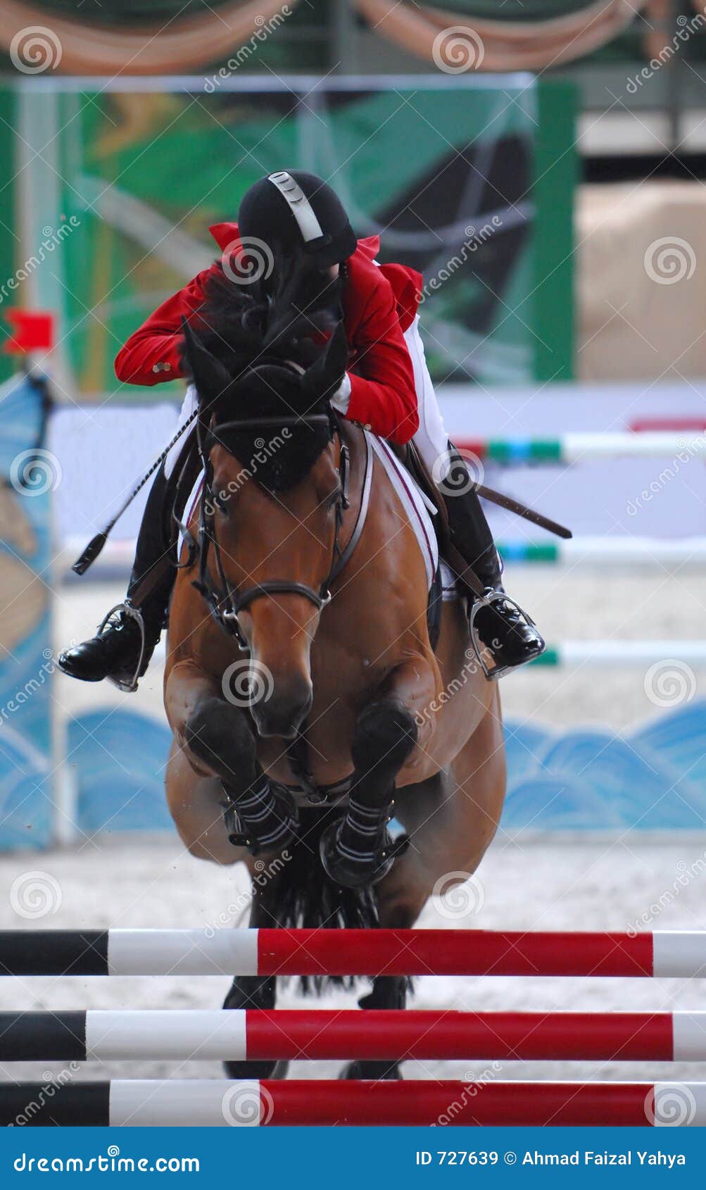 Equestrian stock image. Image of champion, crest, breed - 727639