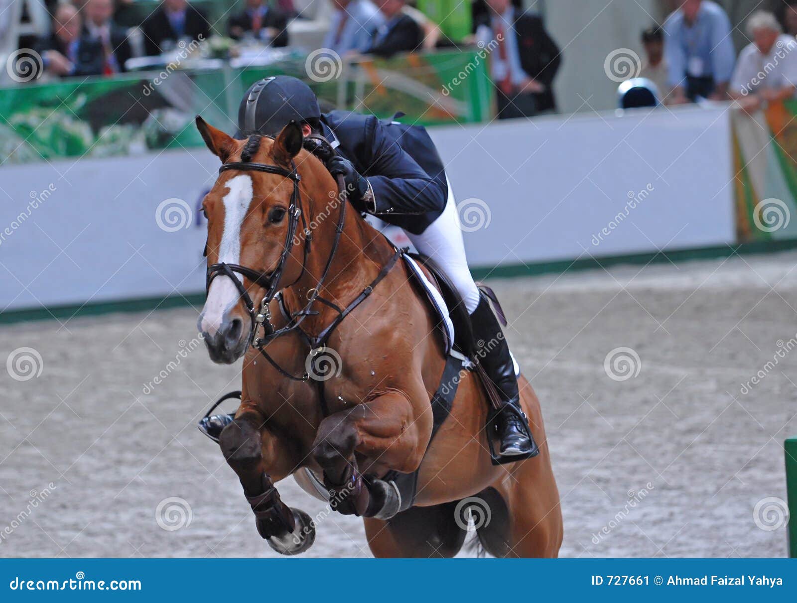 Equestrian stock image. Image of concour, rider, animal - 727661