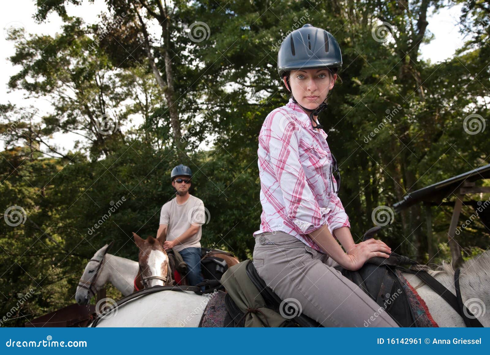 Equestrian Couple stock image. Image of husband, equestrian - 16142961