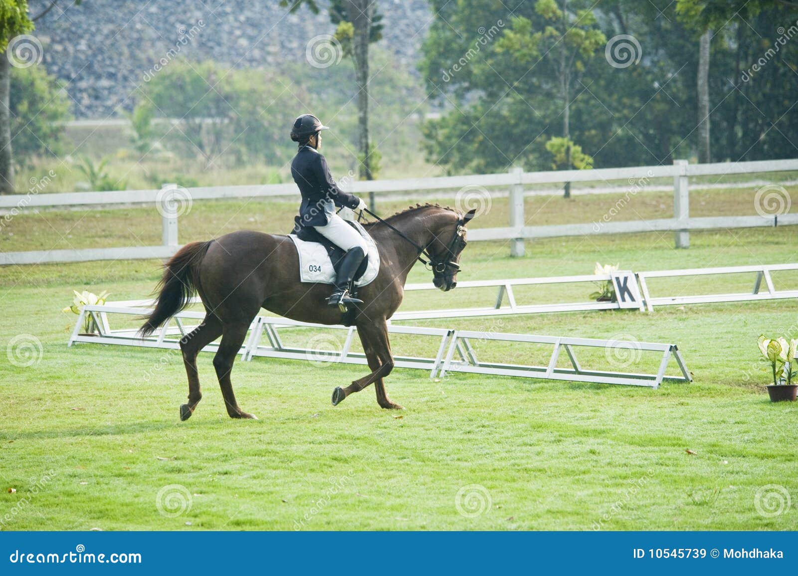 Equestrian Dressage editorial stock image. Image of horseback - 10545739
