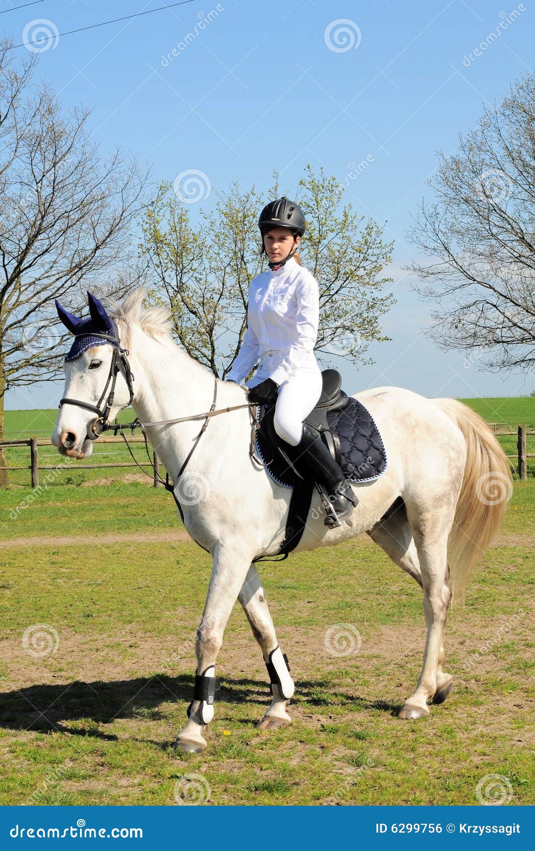 Equestrian girl stock photo. Image of grass, protective - 6299756