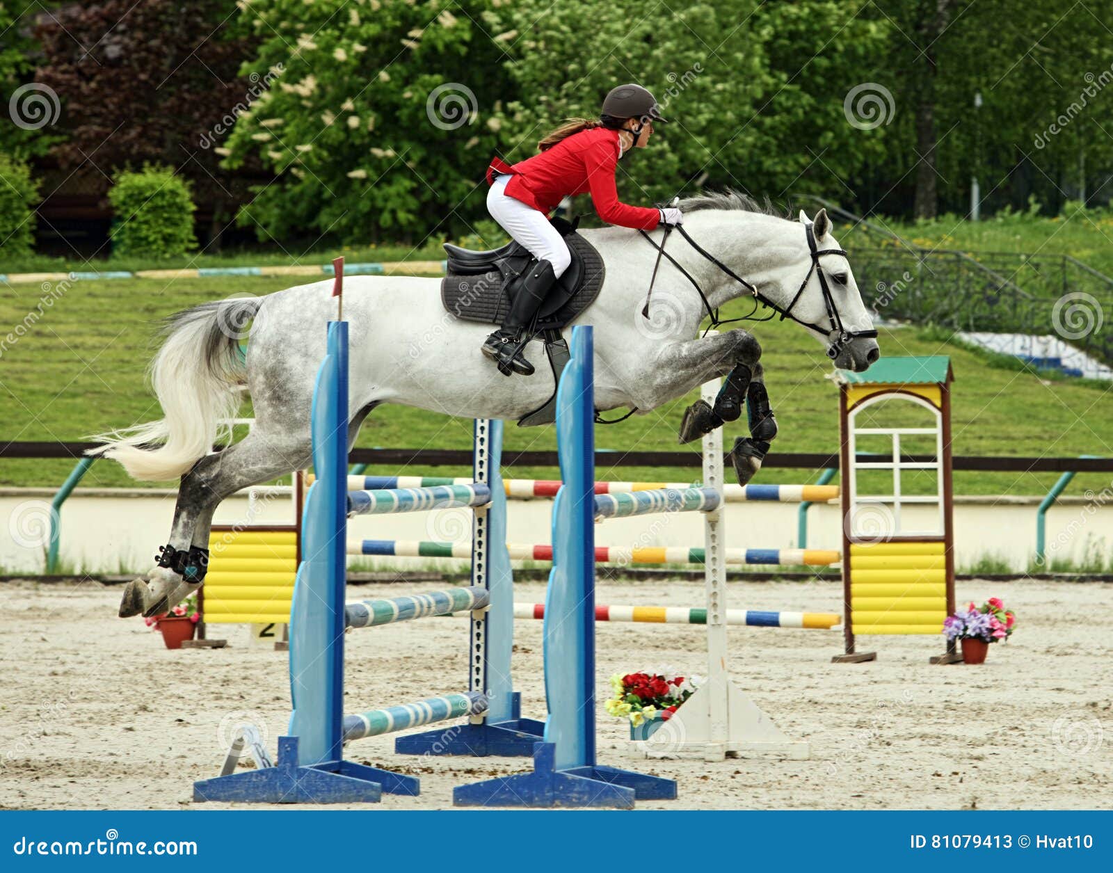 Equestrian Girl Horseback Jumping Obstacle Stock Image - Image of ...