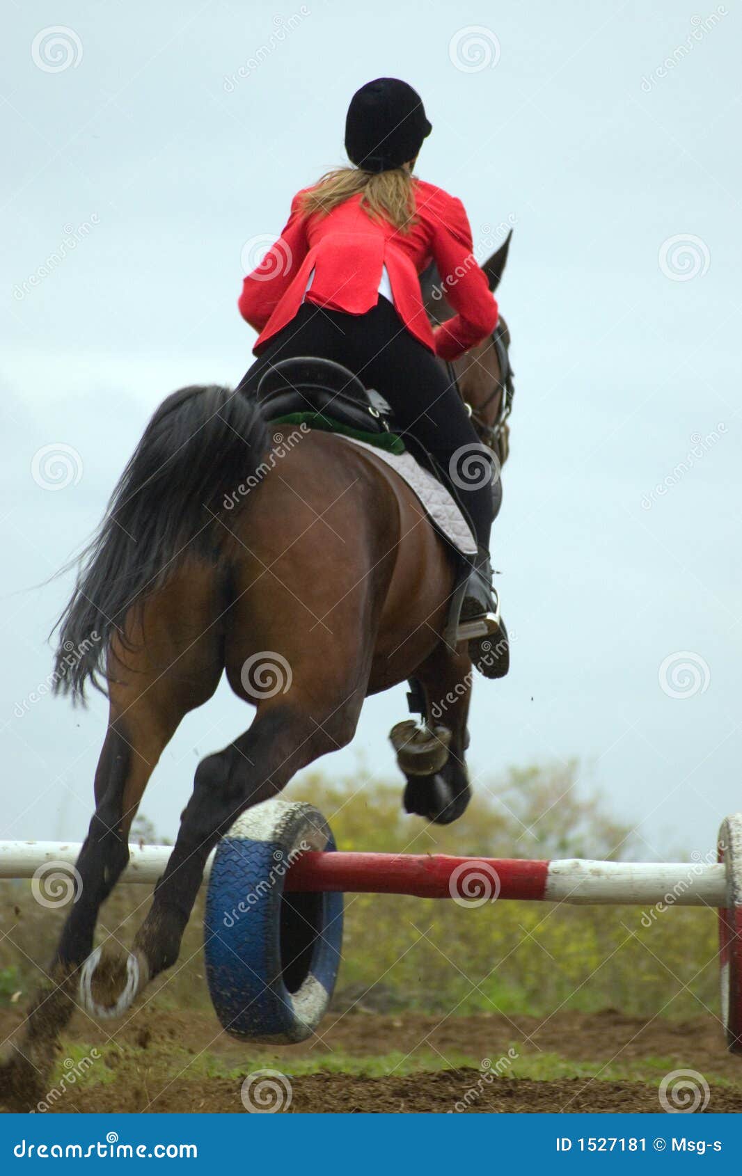 The equestrian and horse stock image. Image of animal - 1527181