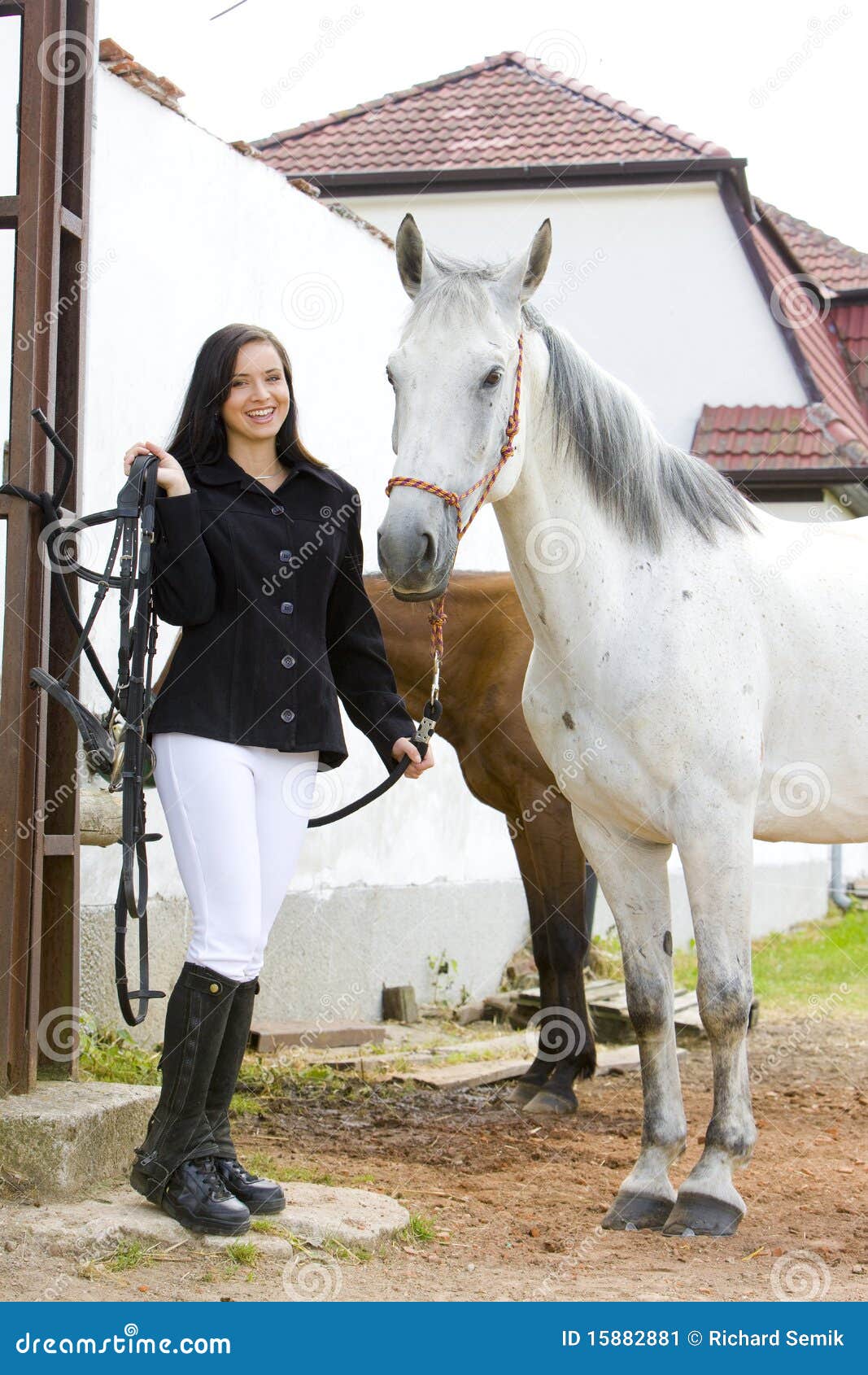 Equestrian with horse stock image. Image of rein, person - 15882881
