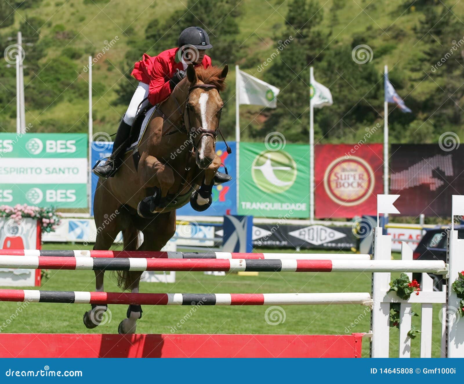 Equestrian International Show Jumping Editorial Stock Photo - Image of ...
