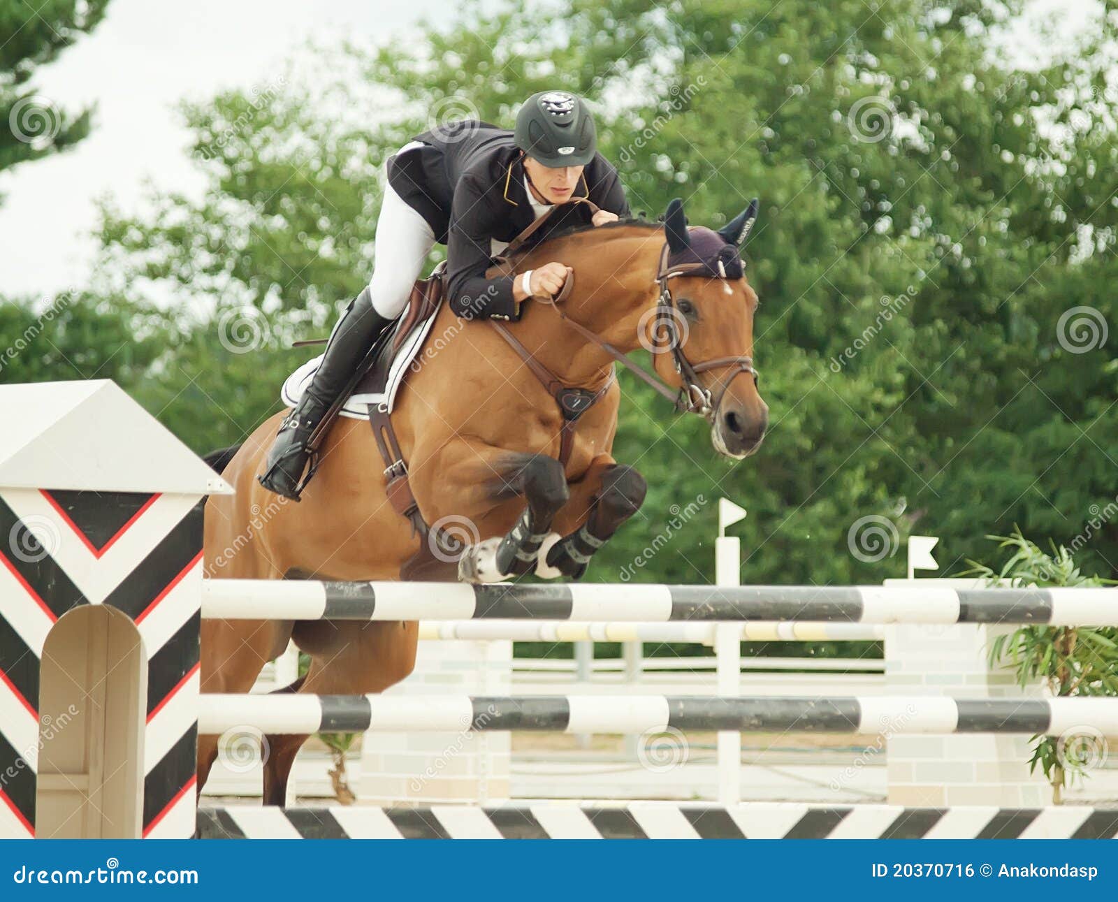 Equestrian jumping sport editorial photo. Image of equestrian - 20370716