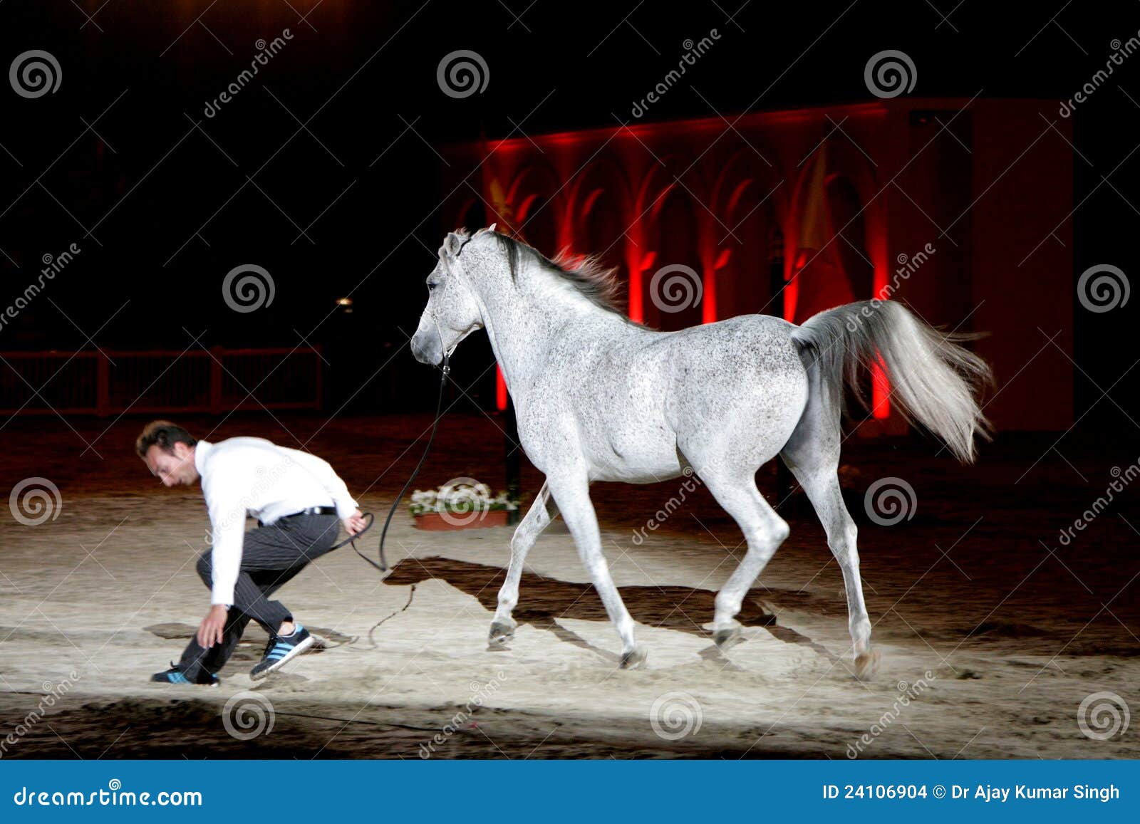 Equestrian Performs on March 26, 2012 in Bahrain Editorial Stock Image ...