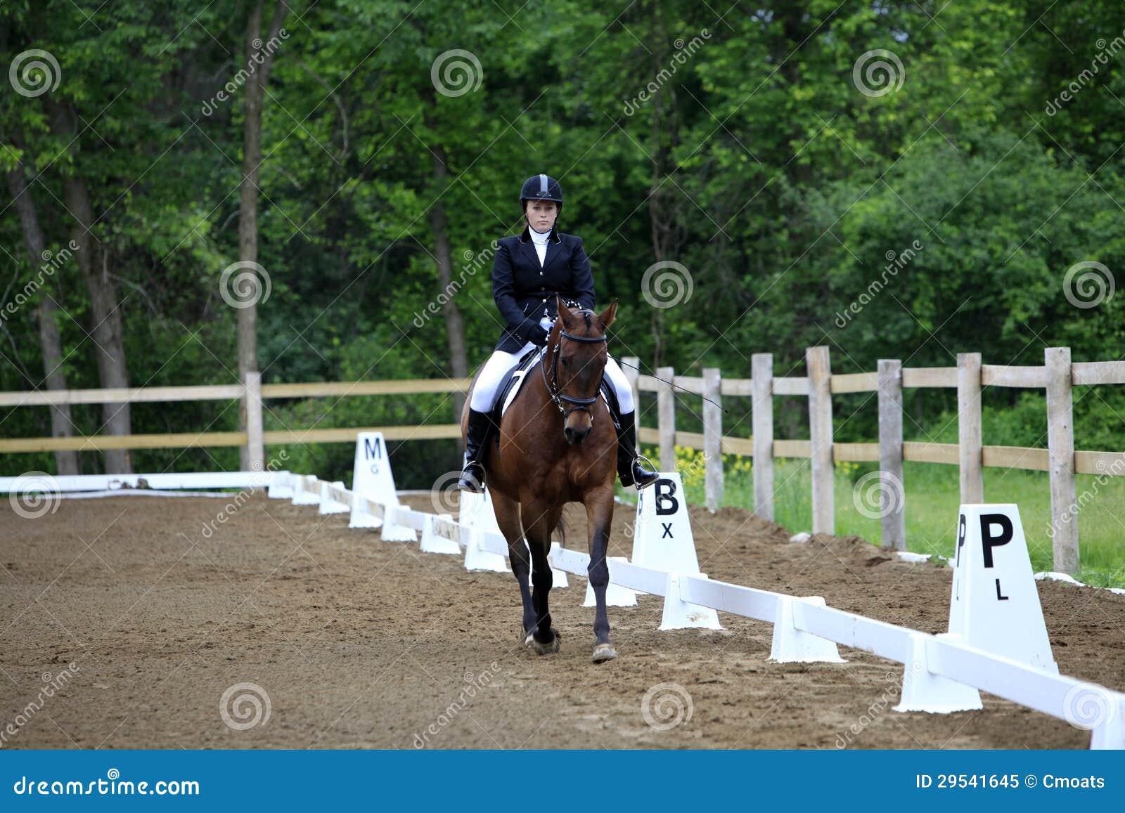 Equestrian Riding at a Dressage Show Stock Image - Image of lady ...
