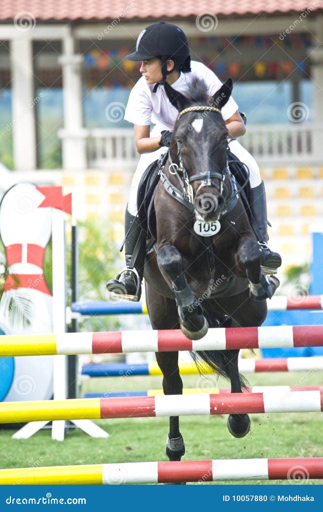 Equestrian Show Jumping editorial image. Image of hurdle - 10057880