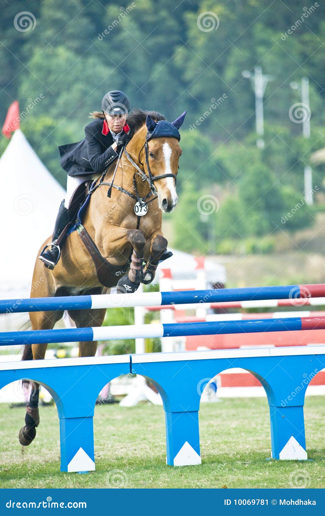 Equestrian Show Jumping editorial photo. Image of horse - 10069781
