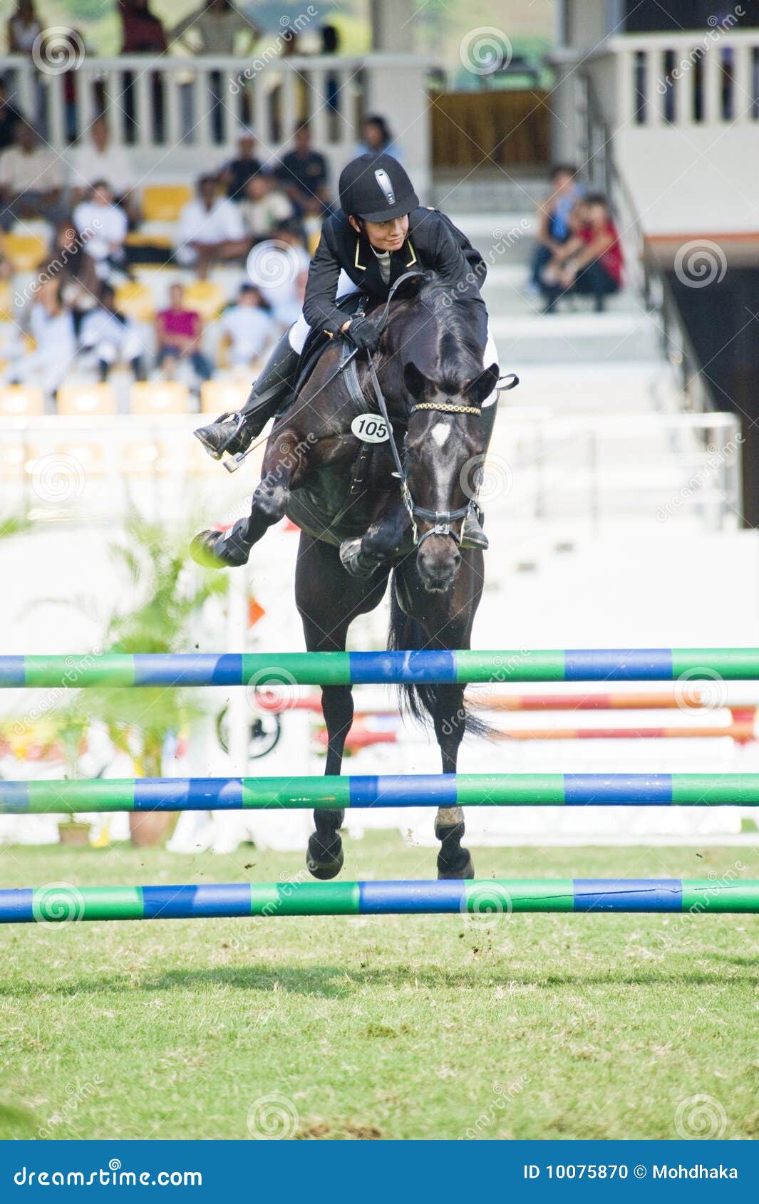 Equestrian Show Jumping editorial image. Image of horse - 10075870