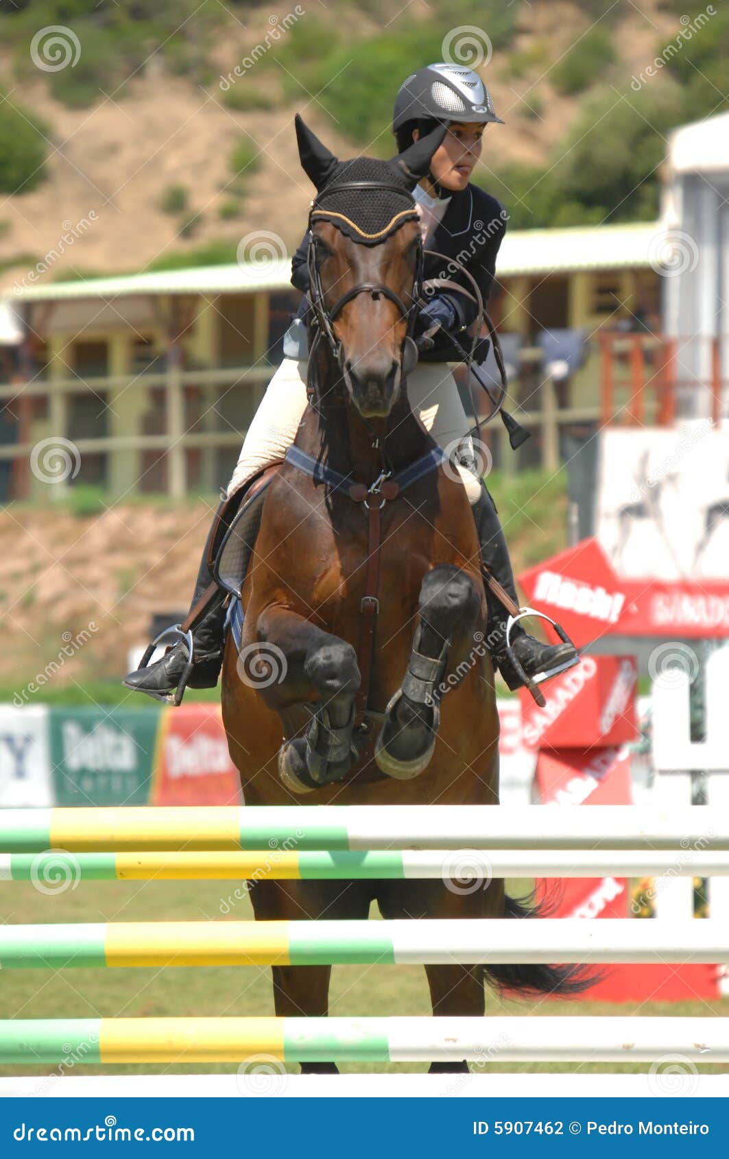 Equestrian Show Jumping editorial photography. Image of grass - 5907462