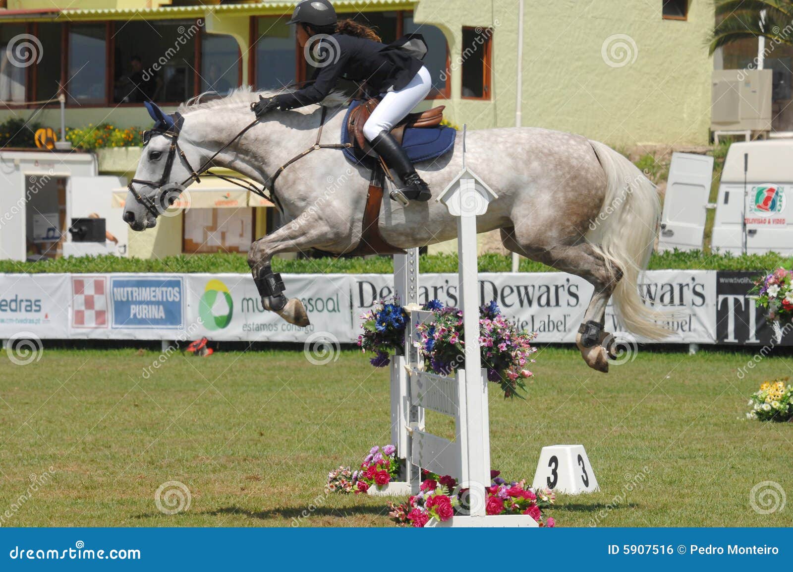 Equestrian Show Jumping editorial photo. Image of horse - 5907516